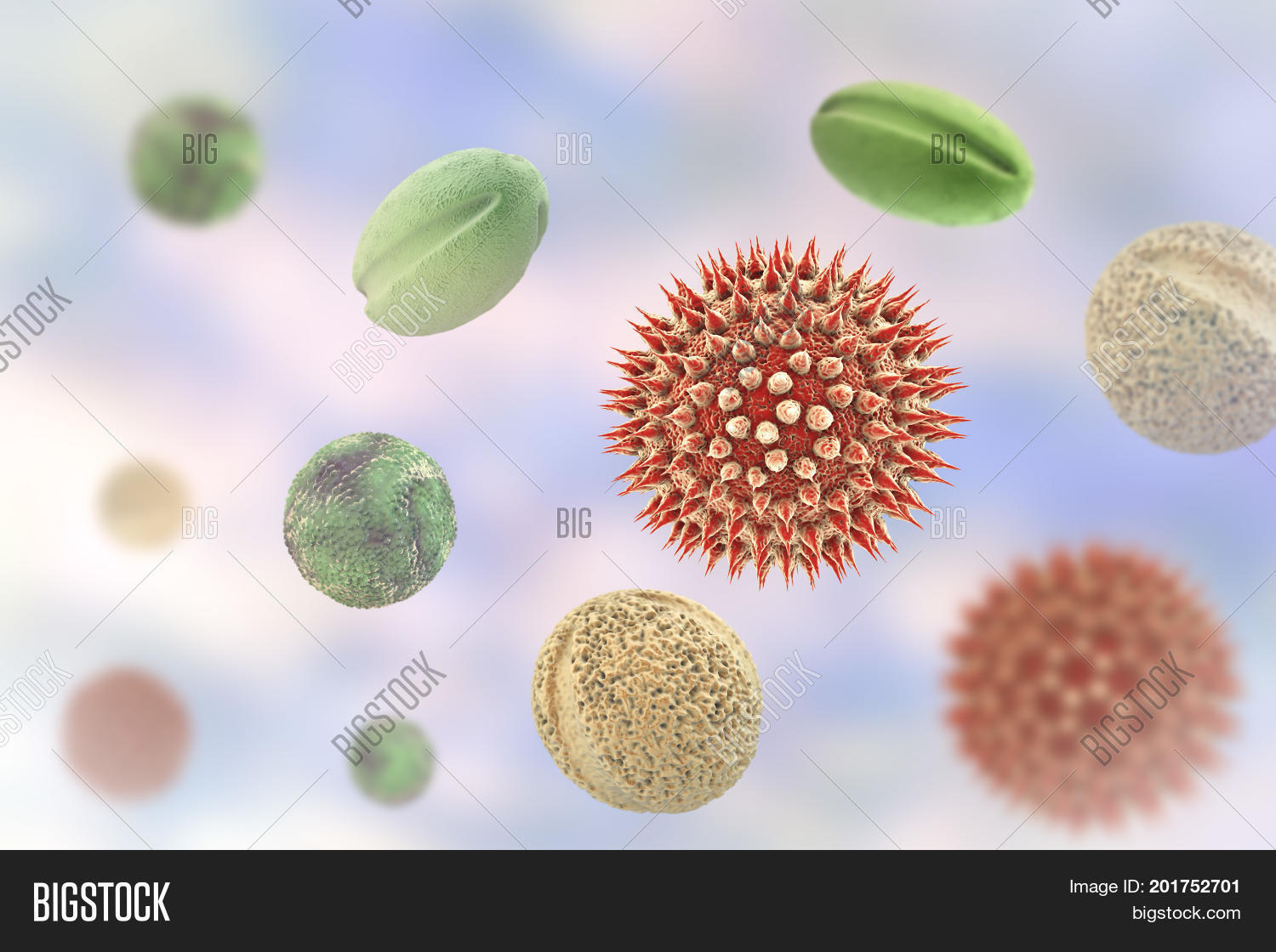 Pollen Grains Image & Photo (Free Trial) | Bigstock