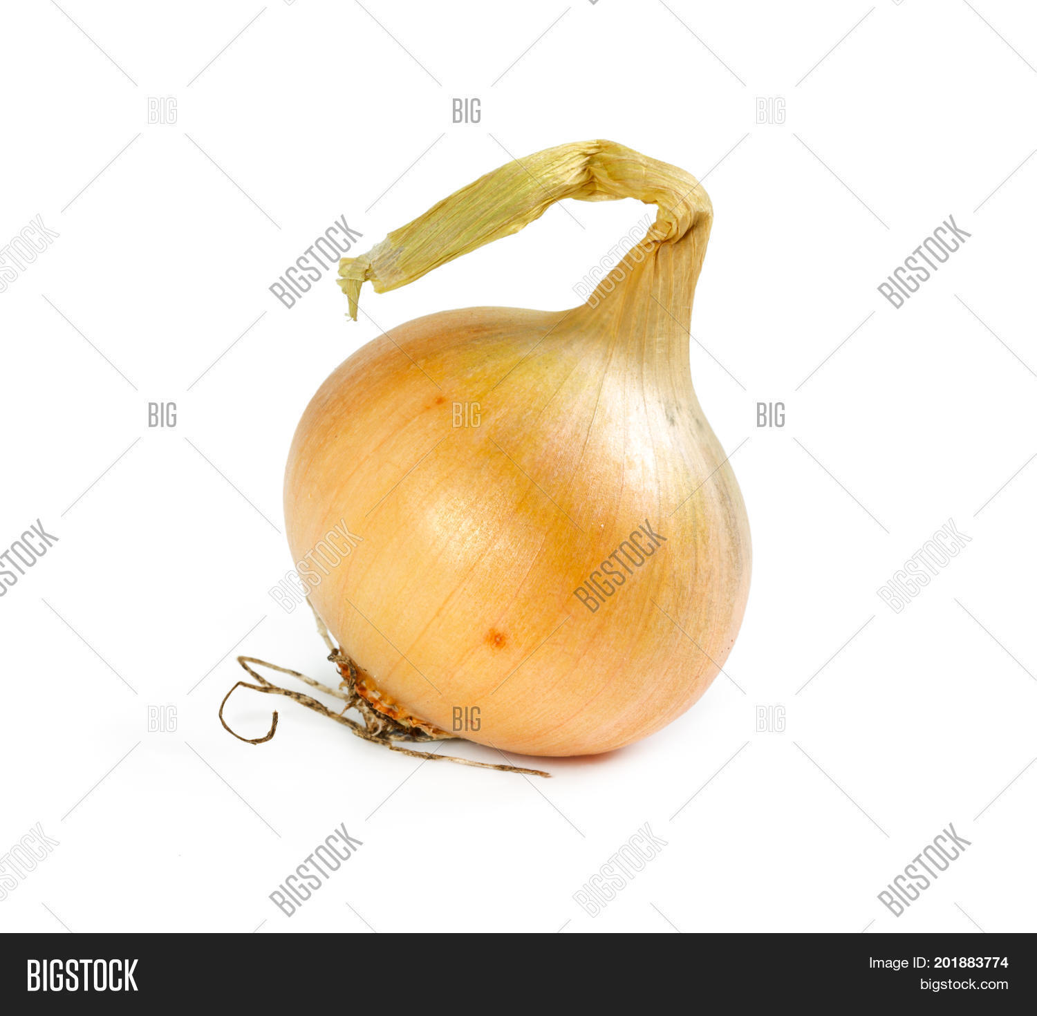 One Raw Yellow Onion Image & Photo (Free Trial) | Bigstock