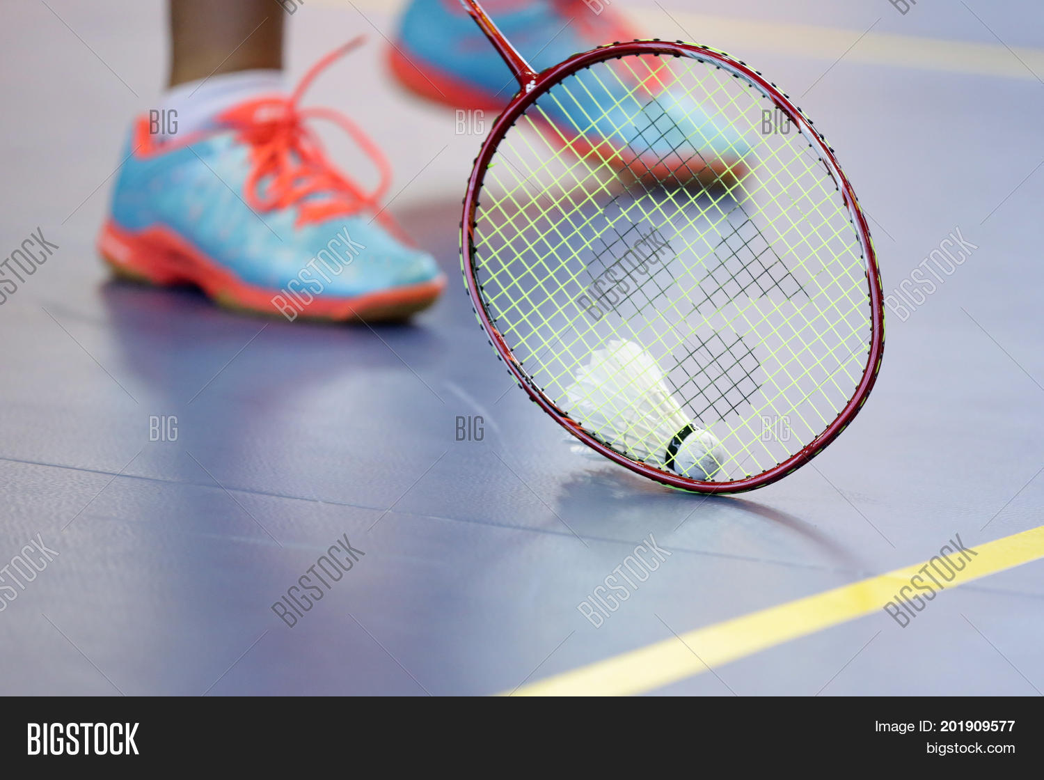 Badminton Racket Image & Photo (Free Trial) | Bigstock