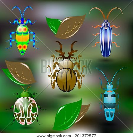 Five Colorful Beetles Vector & Photo (Free Trial) | Bigstock
