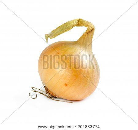 One Raw Yellow Onion Image & Photo (Free Trial) | Bigstock