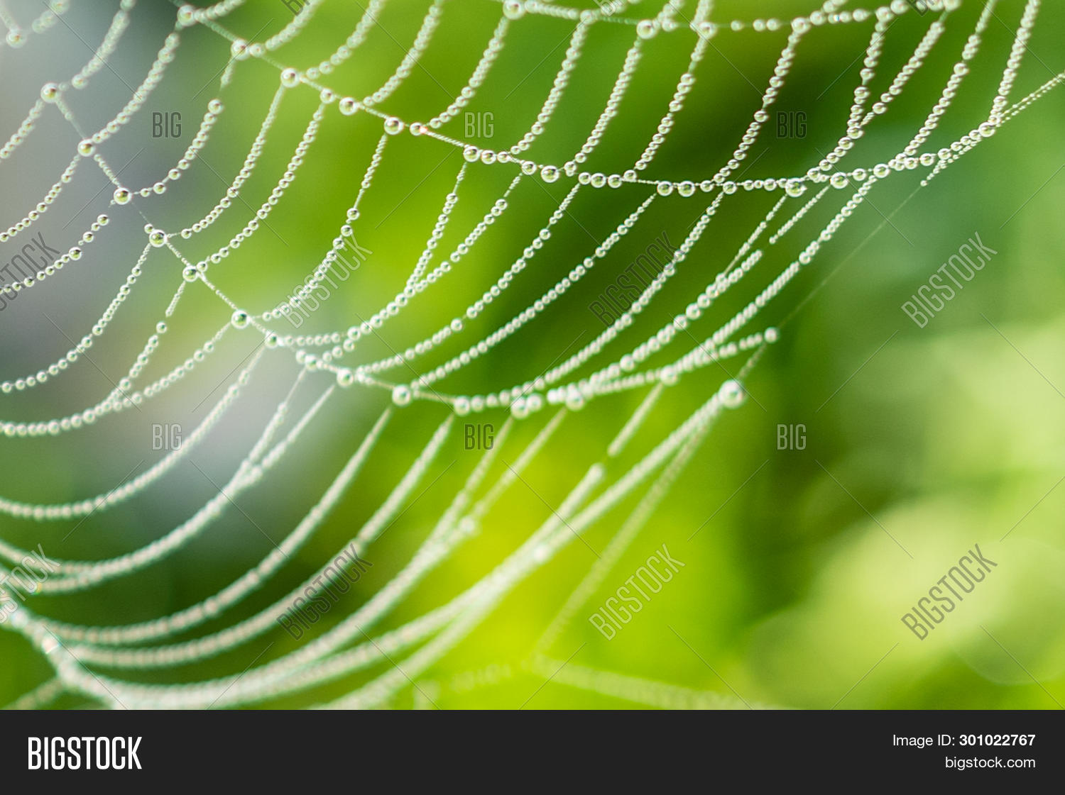 Drop Condensation On Image & Photo (Free Trial) | Bigstock