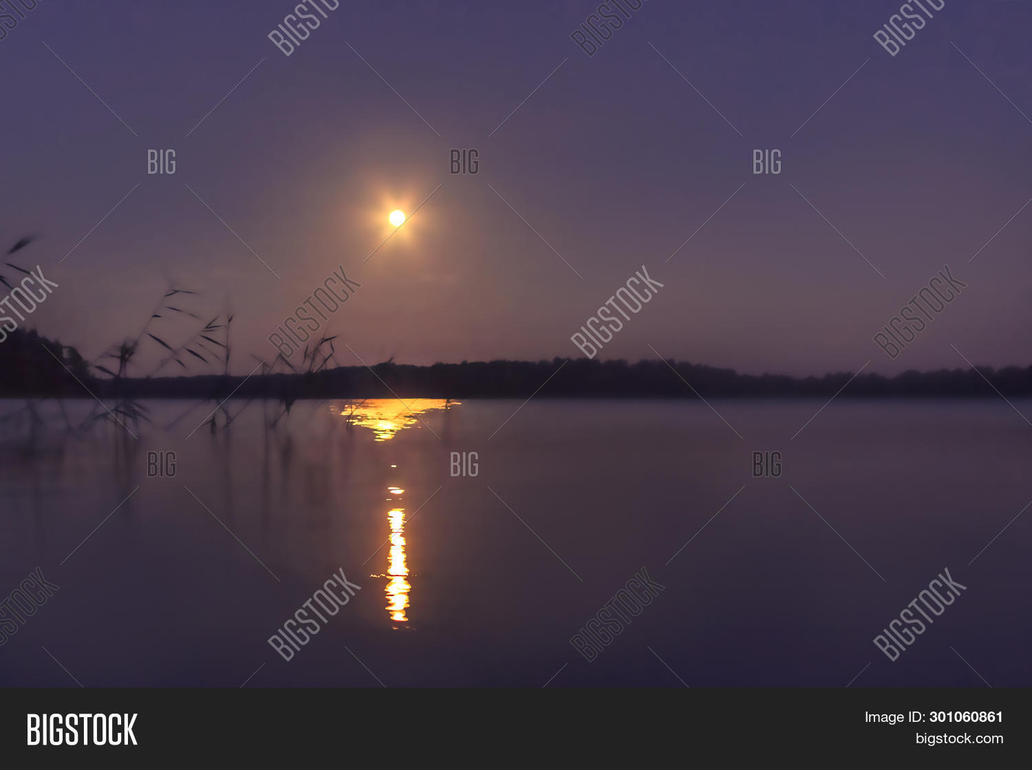 Moonlight On Lake On Image & Photo (Free Trial) | Bigstock