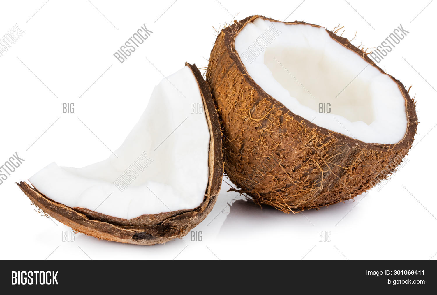 Coconuts Isolated On Image & Photo (Free Trial) | Bigstock