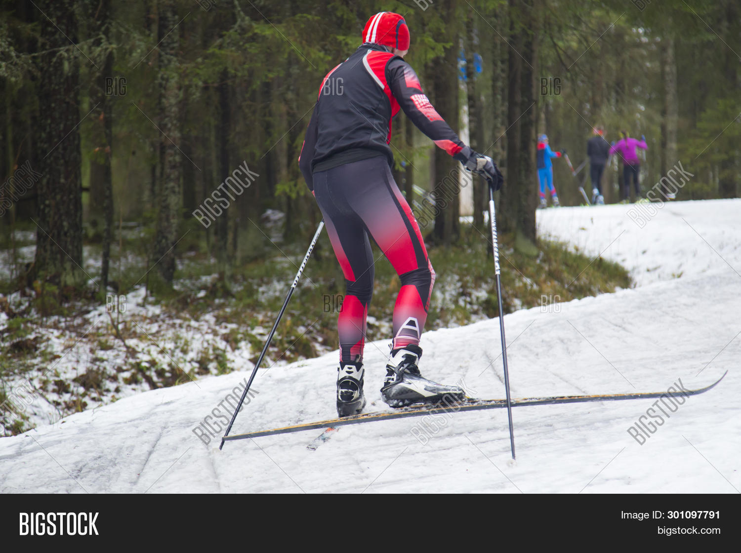 Cross Country. Skier Image & Photo (Free Trial) | Bigstock