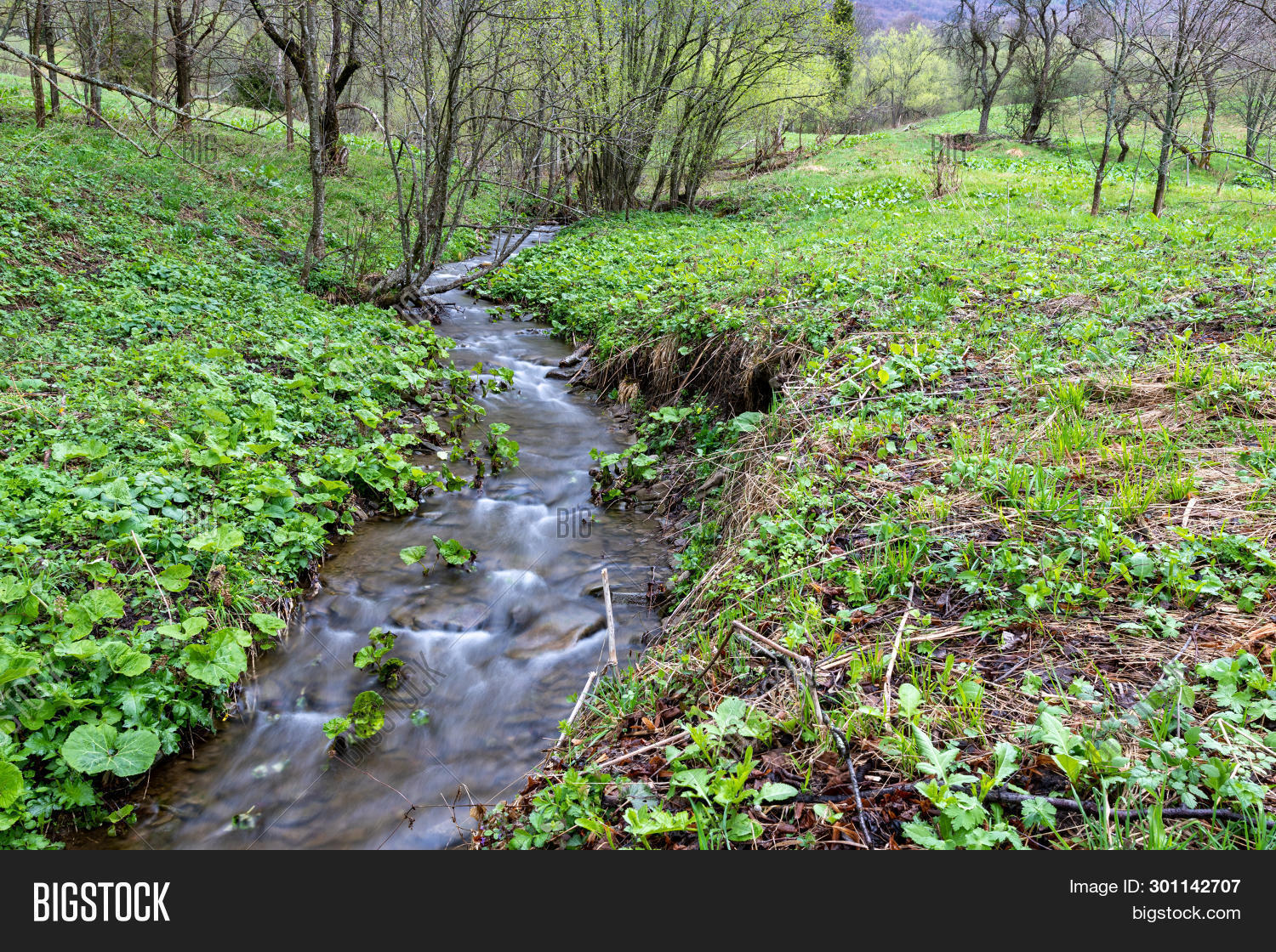 Fast Stream Image & Photo (Free Trial) | Bigstock