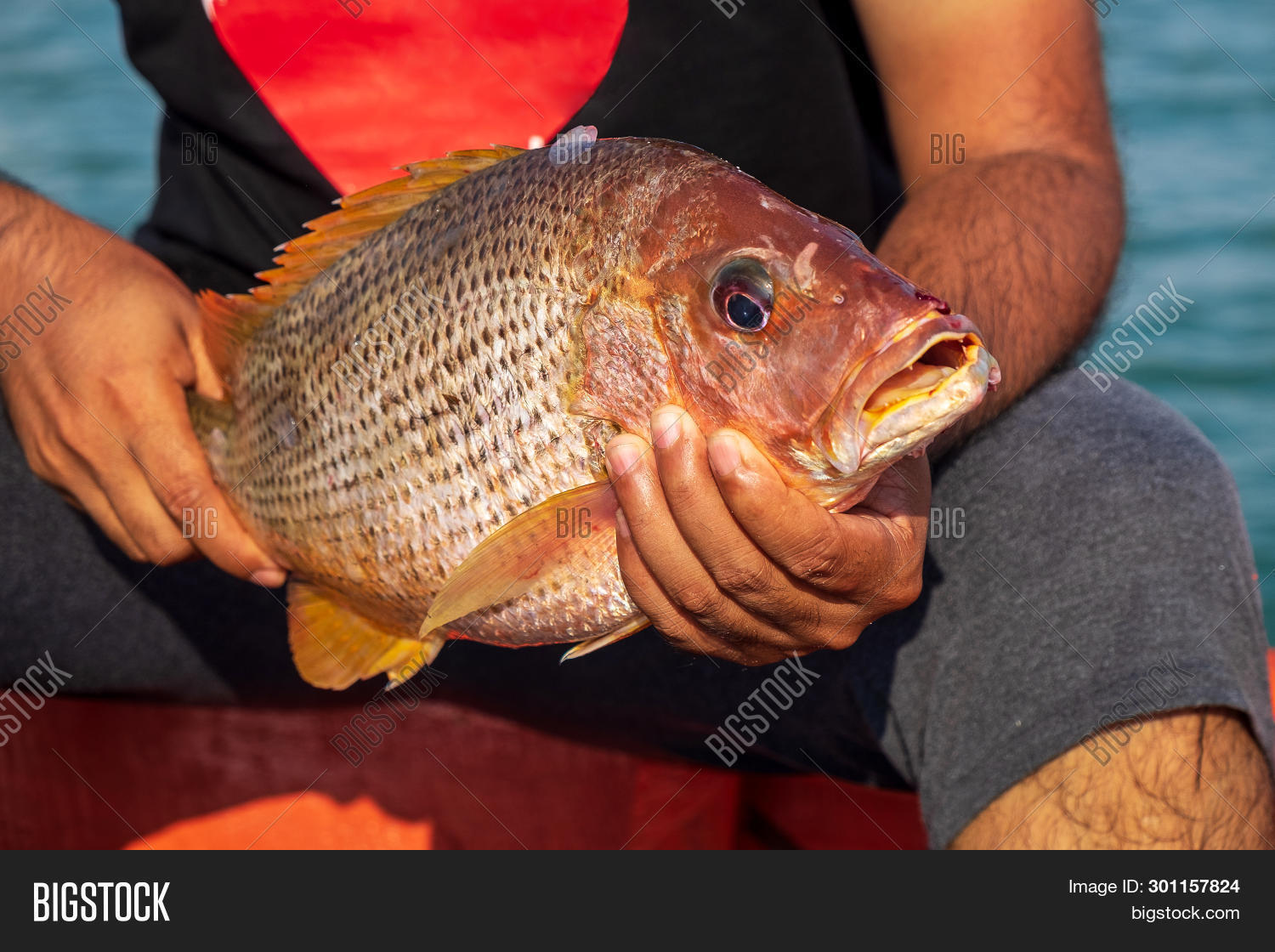 Fisherman Holding Image & Photo (Free Trial) | Bigstock