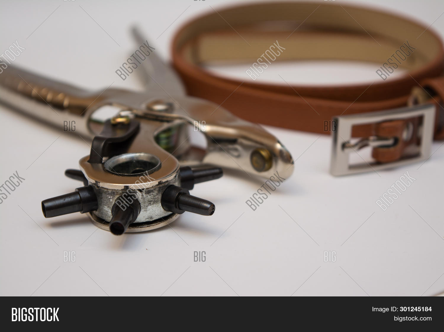 Piercing Hole Belt. Image & Photo (Free Trial) | Bigstock