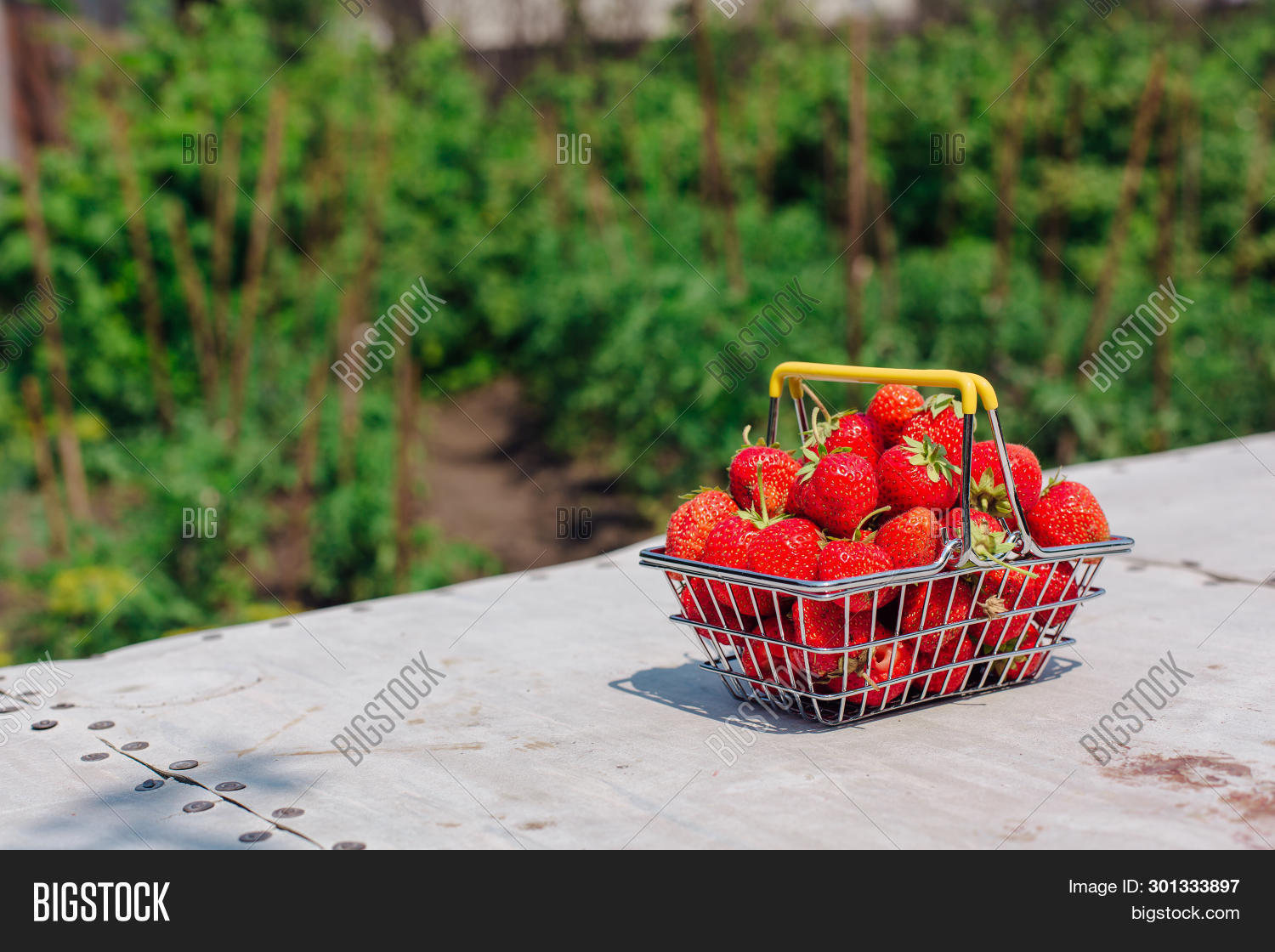 Mini Shopping Basket Image And Photo Free Trial Bigstock