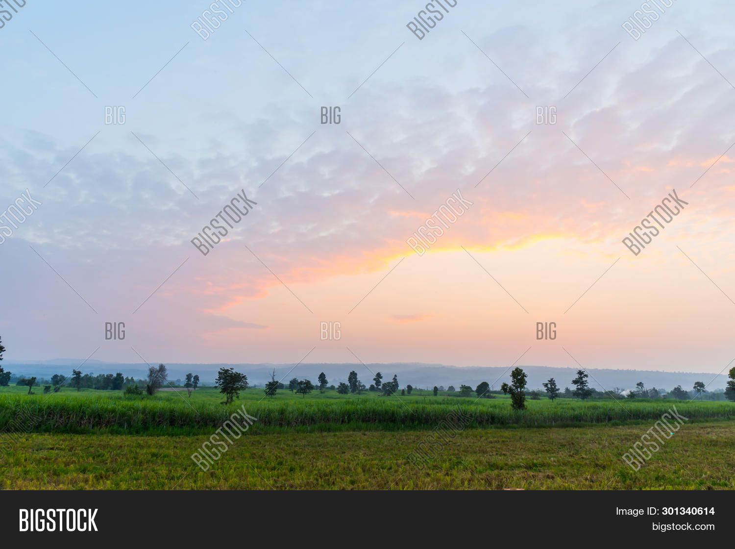 Gold Blue Sunset Sky Image & Photo (Free Trial) | Bigstock