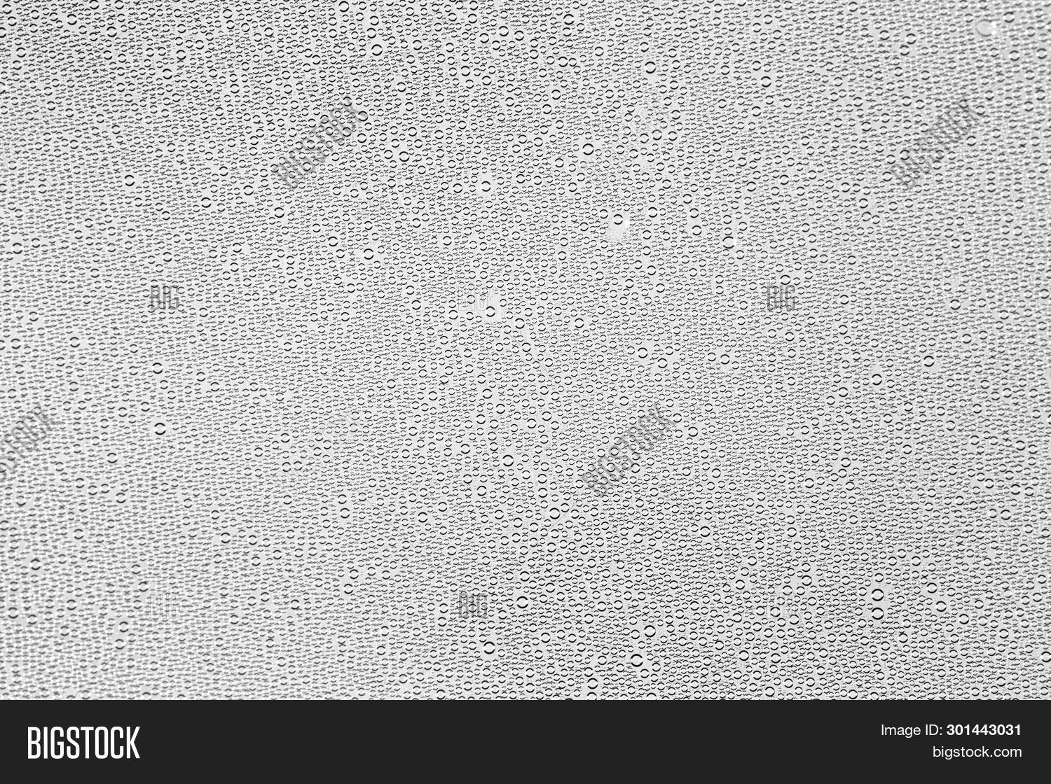 Water Drops. Bubbles Image & Photo (Free Trial) | Bigstock