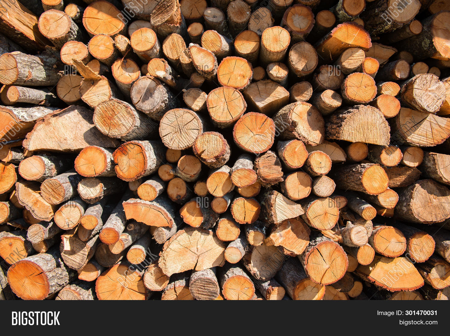 Lumber. Fire Logs. Image & Photo (Free Trial) | Bigstock