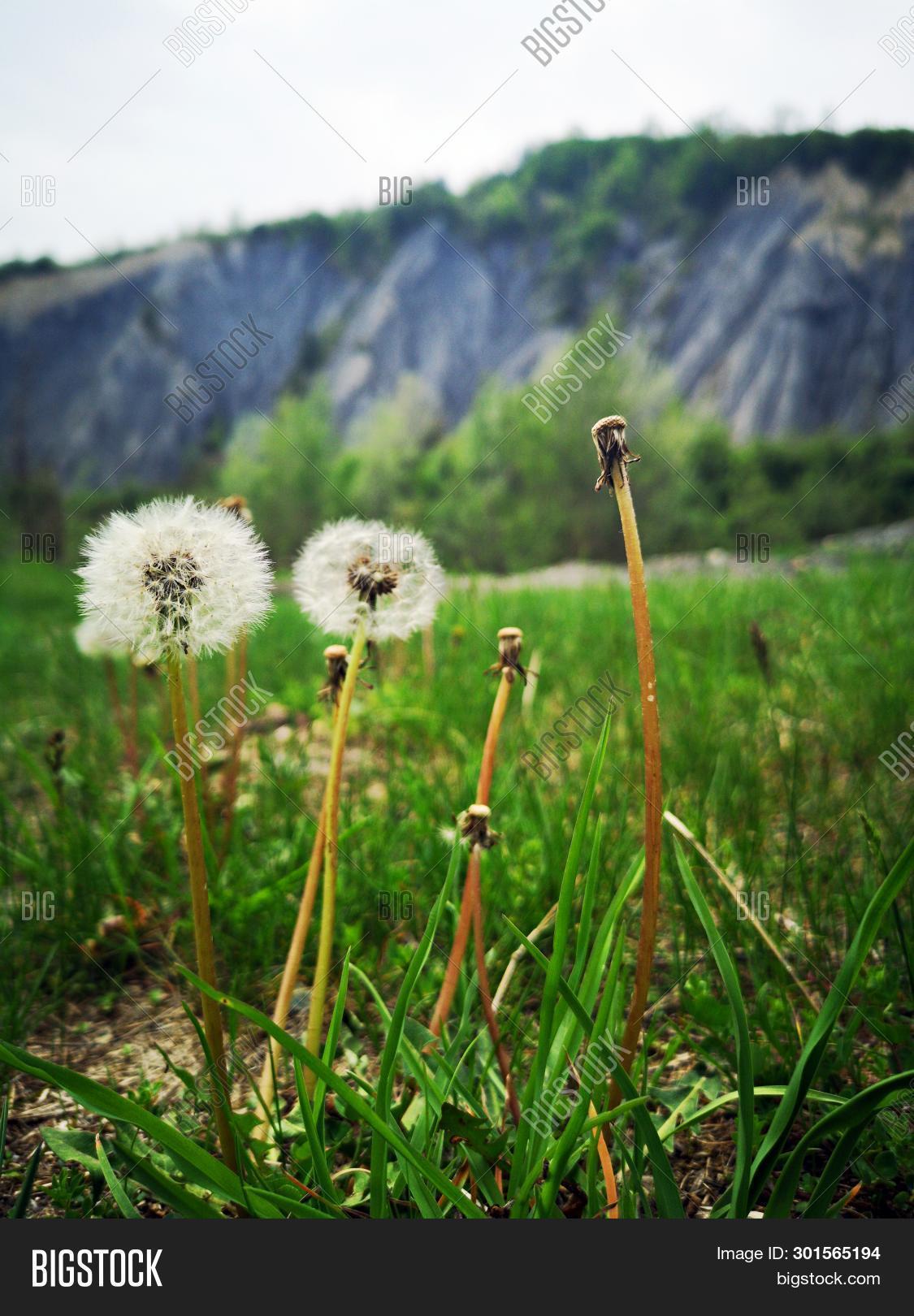 Black Ravine - Rapa Image & Photo (Free Trial) | Bigstock