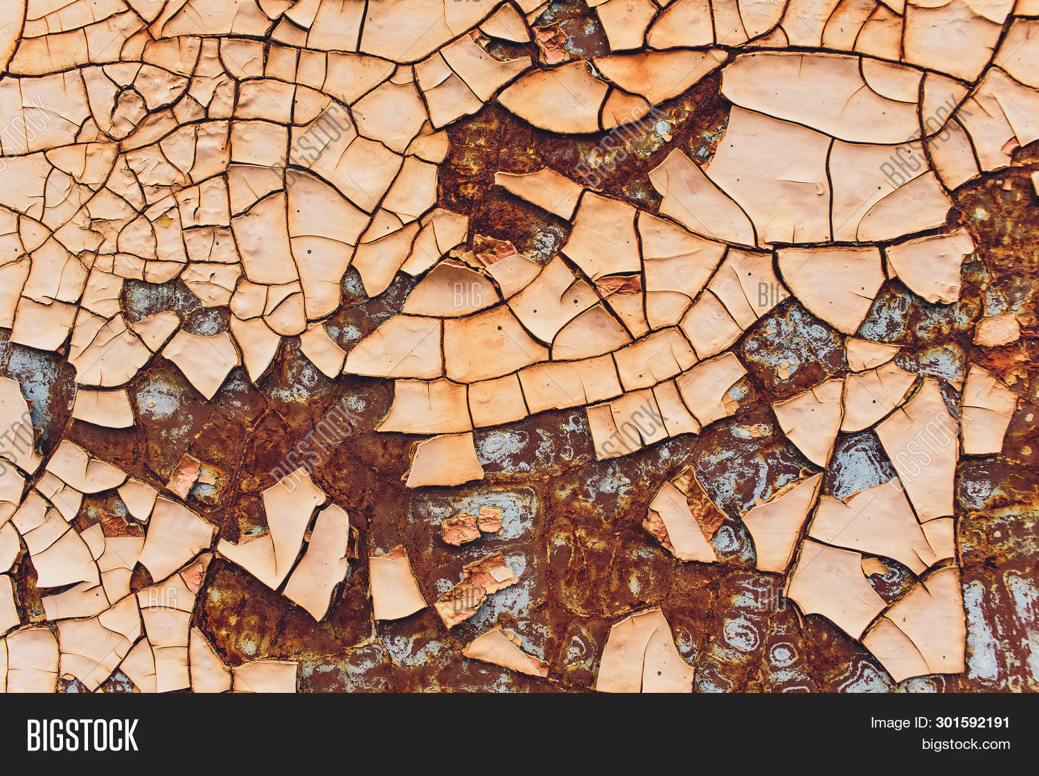 Rusted White Painted Image & Photo (Free Trial) | Bigstock