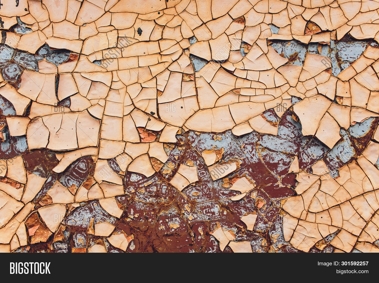 Rusted White Painted Image & Photo (Free Trial) | Bigstock