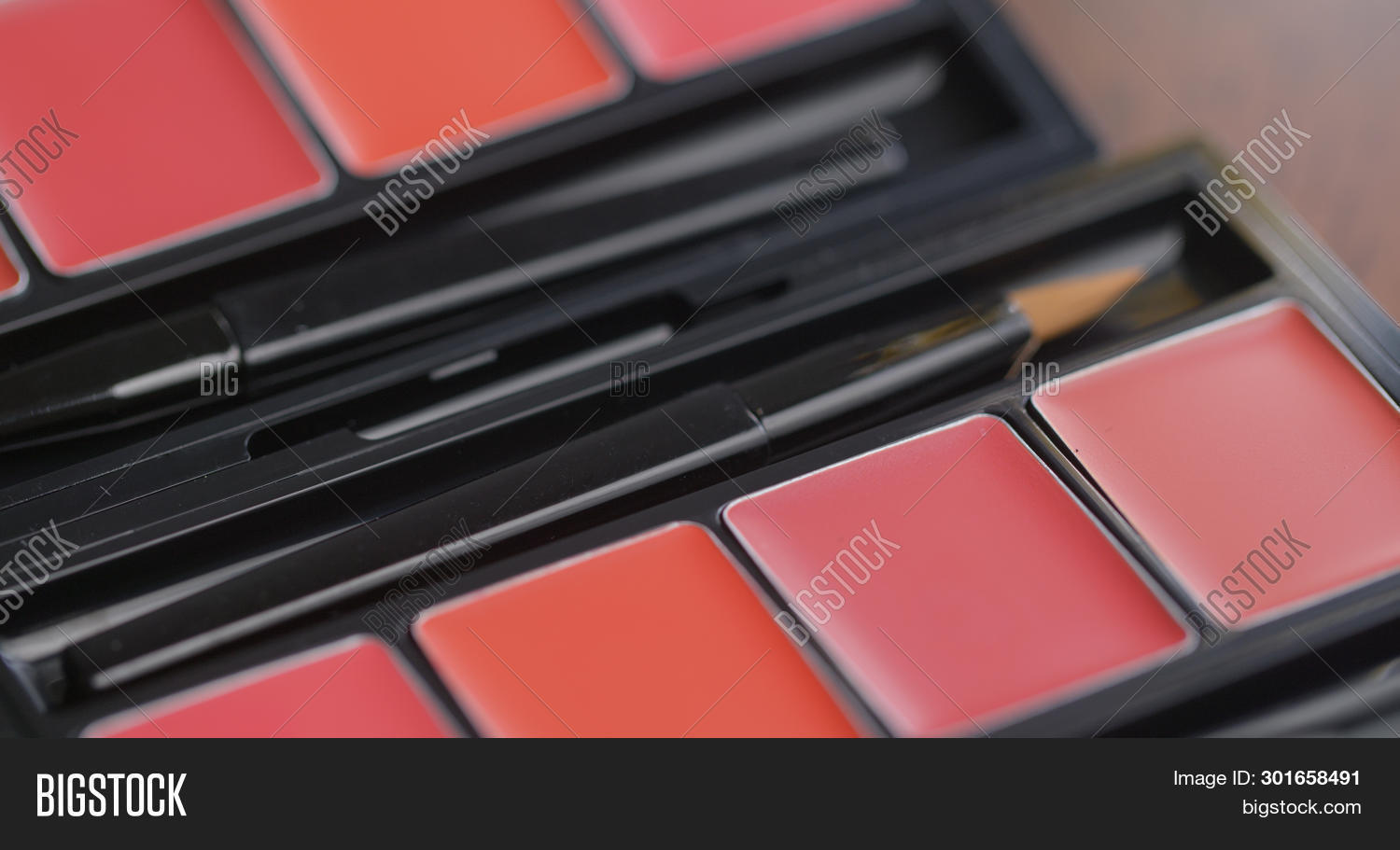 Lip Palette Make Image & Photo (Free Trial) | Bigstock