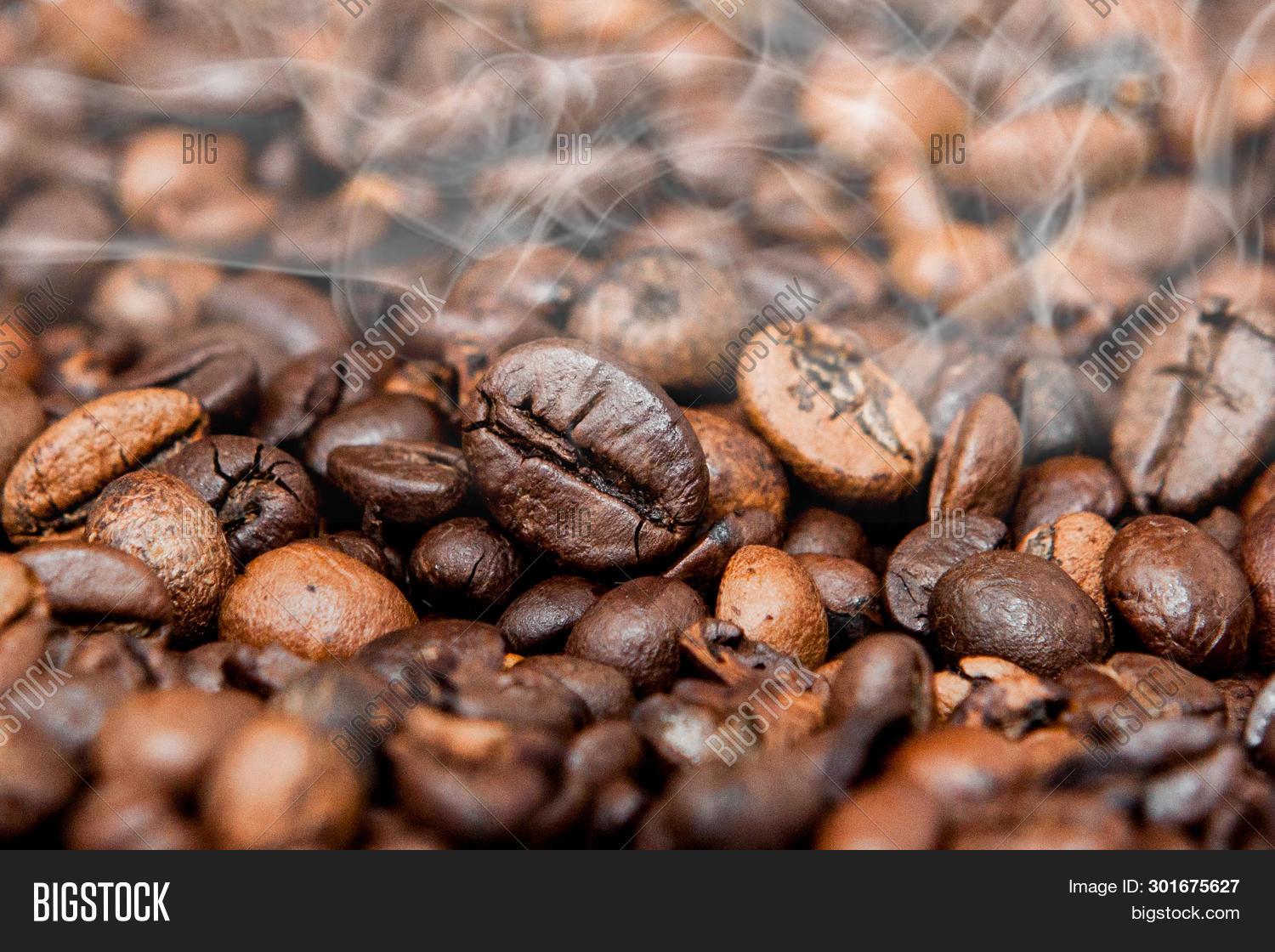 Mixture Different Image & Photo (Free Trial) | Bigstock