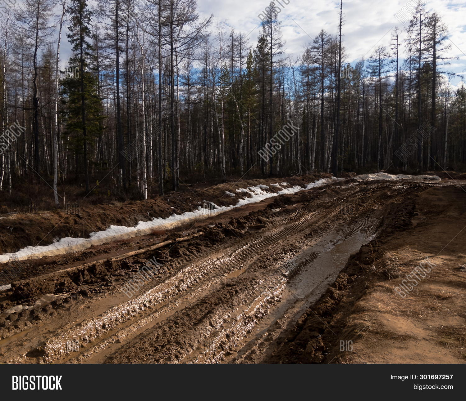 Tire Imprints Deep Rut Image & Photo (Free Trial) | Bigstock