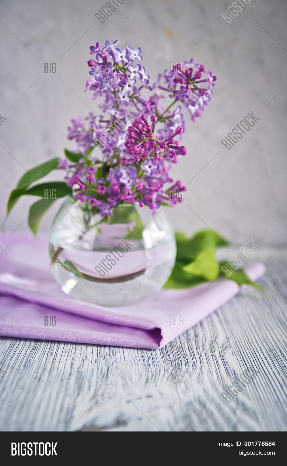 Sprig Lilac Glass Image & Photo (Free Trial) | Bigstock