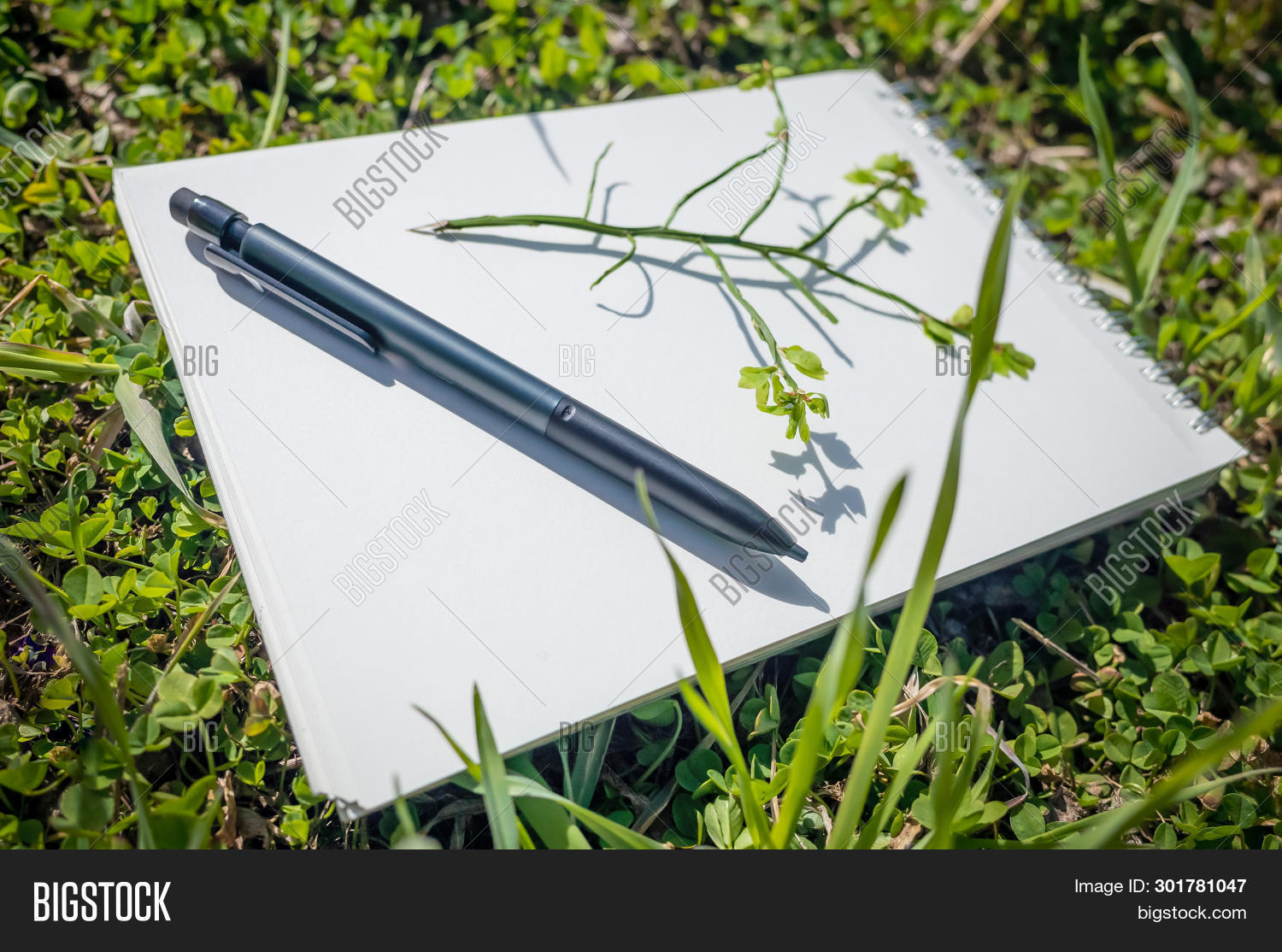 Notebook Pencil Lie On Image & Photo (Free Trial) | Bigstock