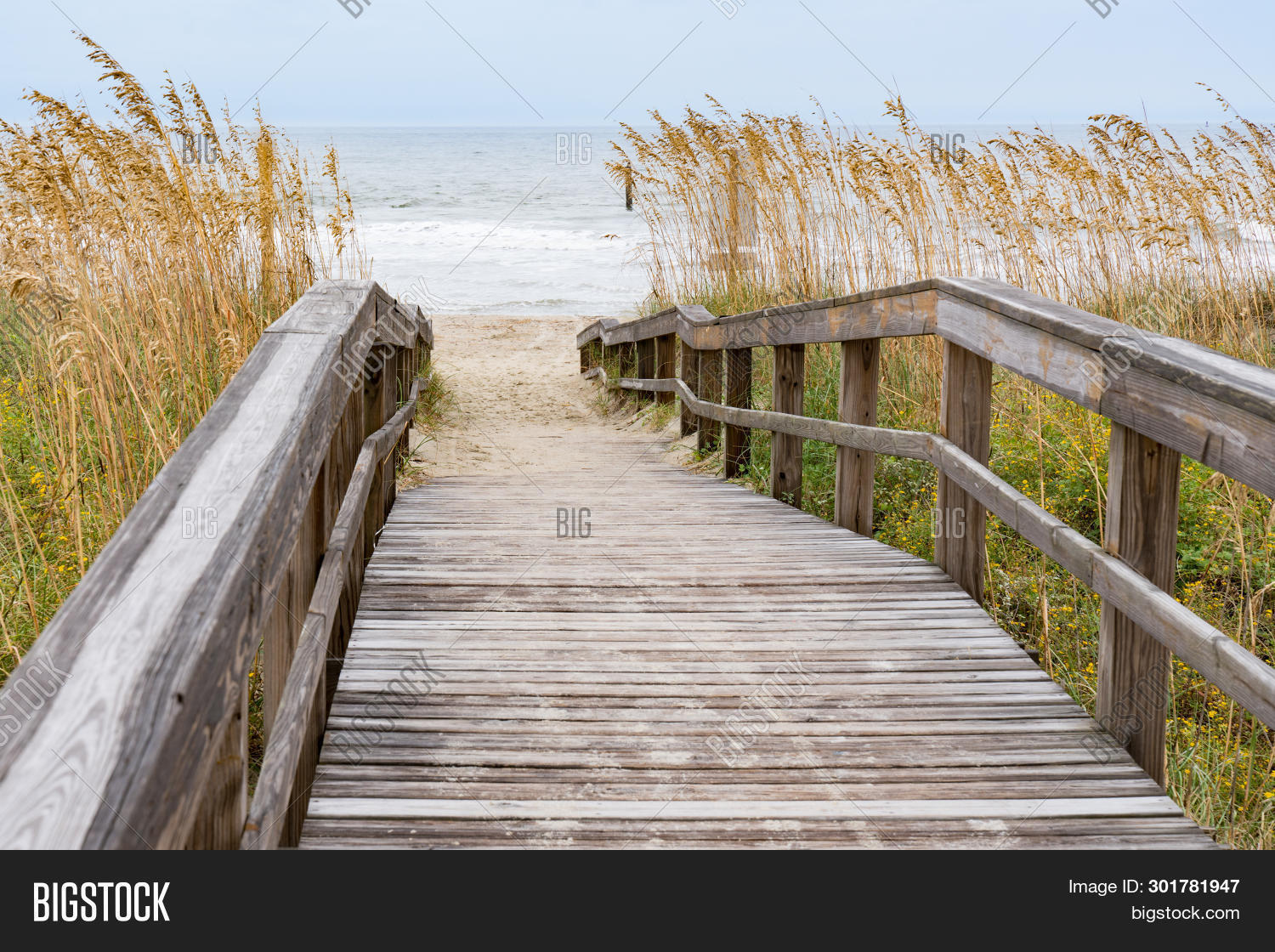 Boardwalk Over Sand Image & Photo (Free Trial) | Bigstock