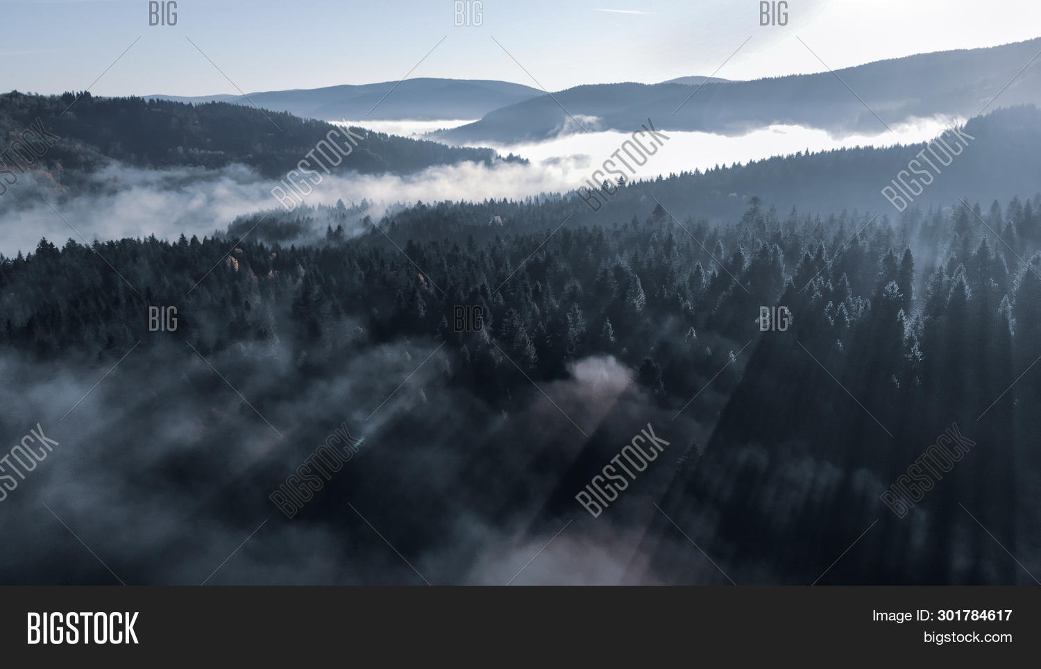 Foggy Autumn Morning Image & Photo (Free Trial) | Bigstock