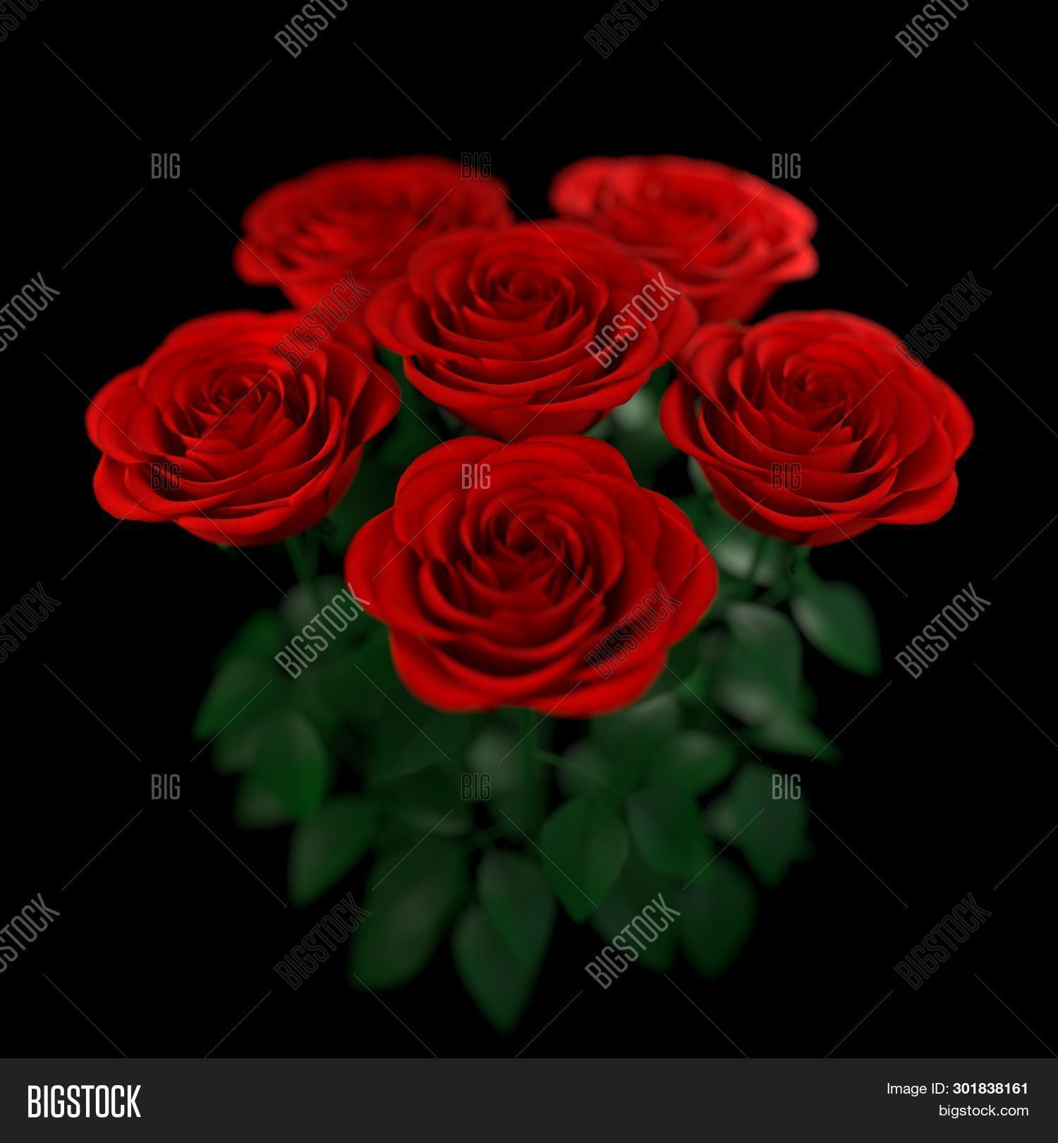 Red Rose Pack On Dark Image & Photo (Free Trial) | Bigstock