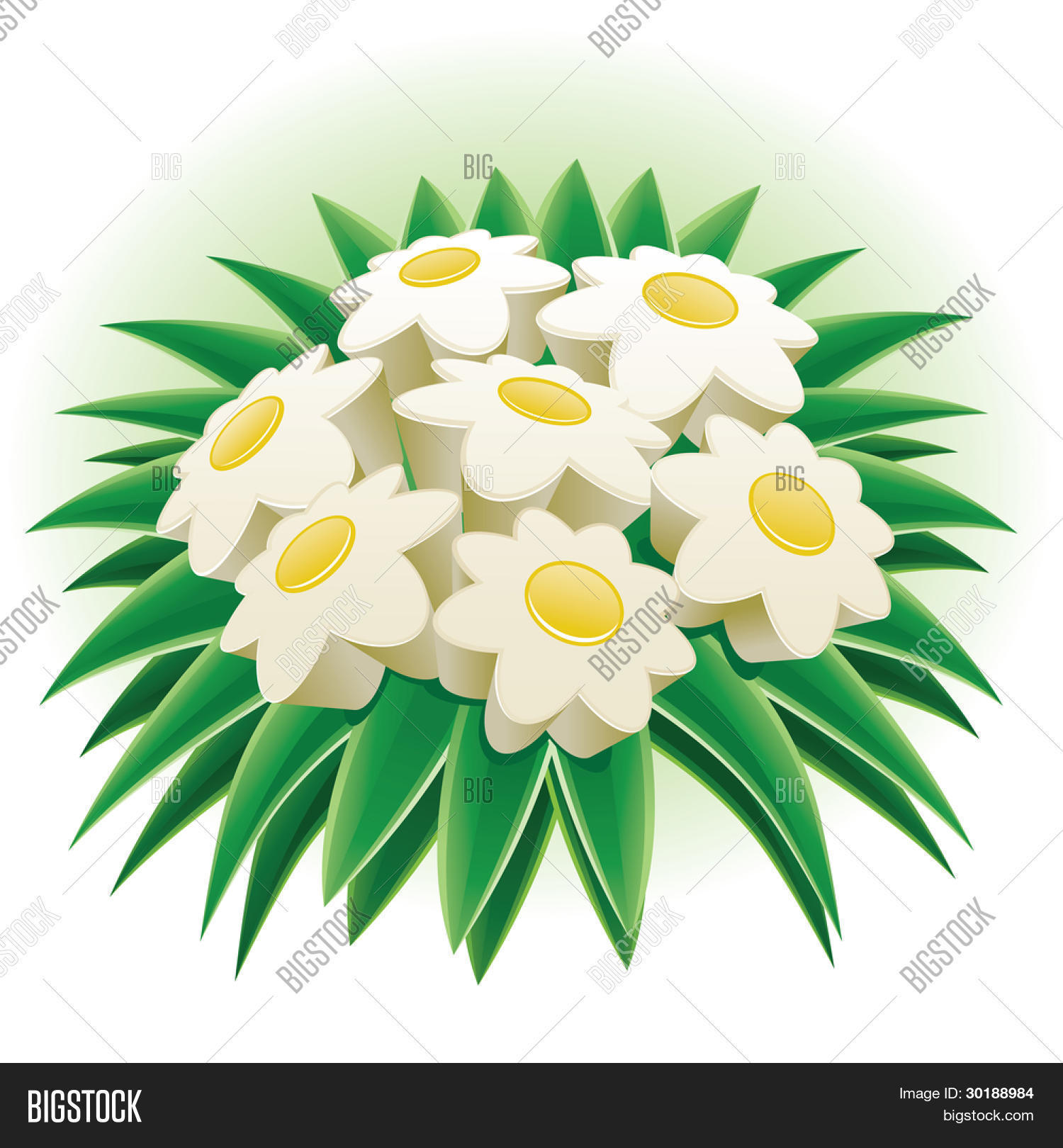 Bunch Daisy. 3d Vector & Photo (Free Trial) | Bigstock