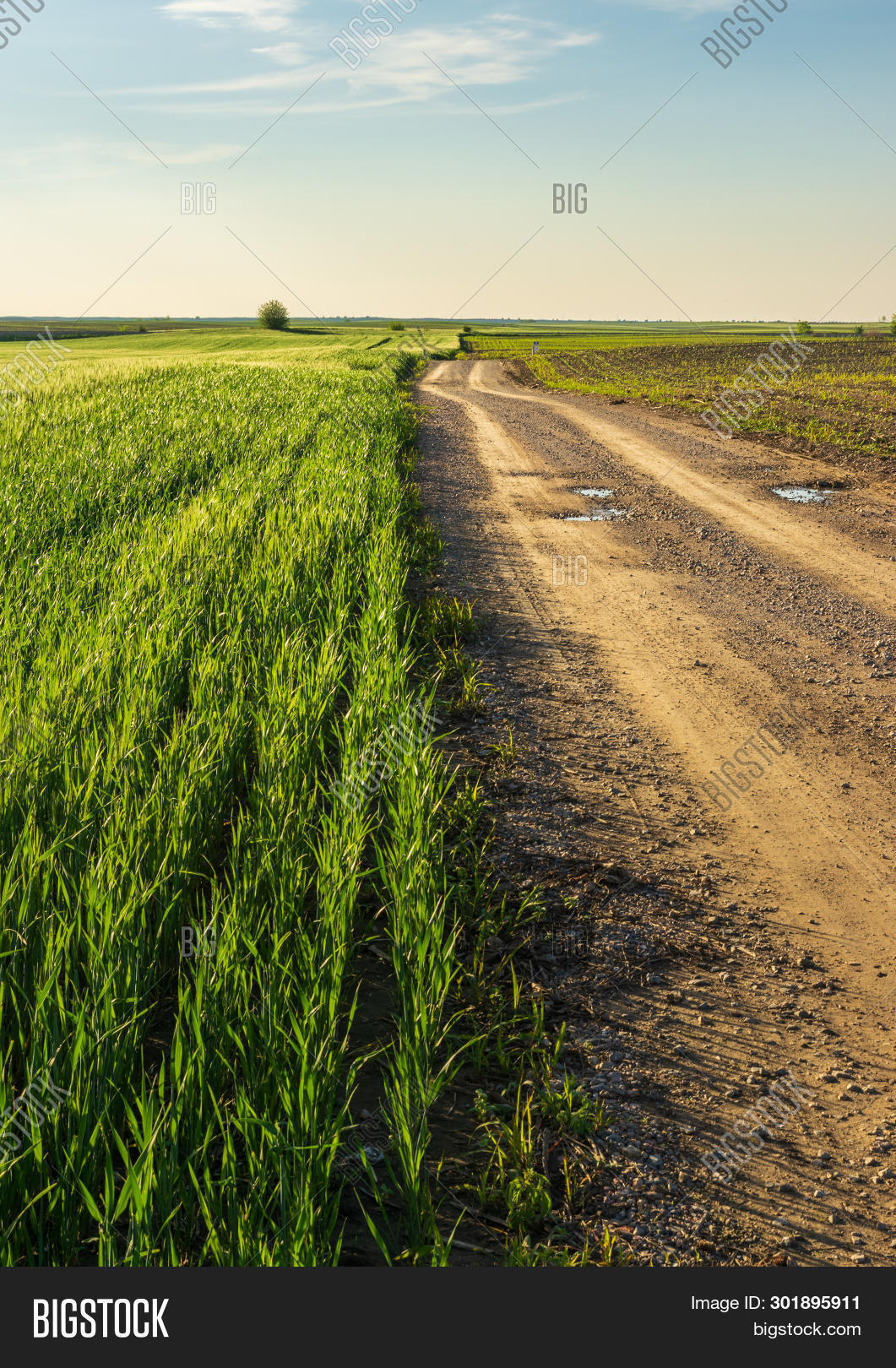 Countryside Image & Photo (Free Trial) | Bigstock