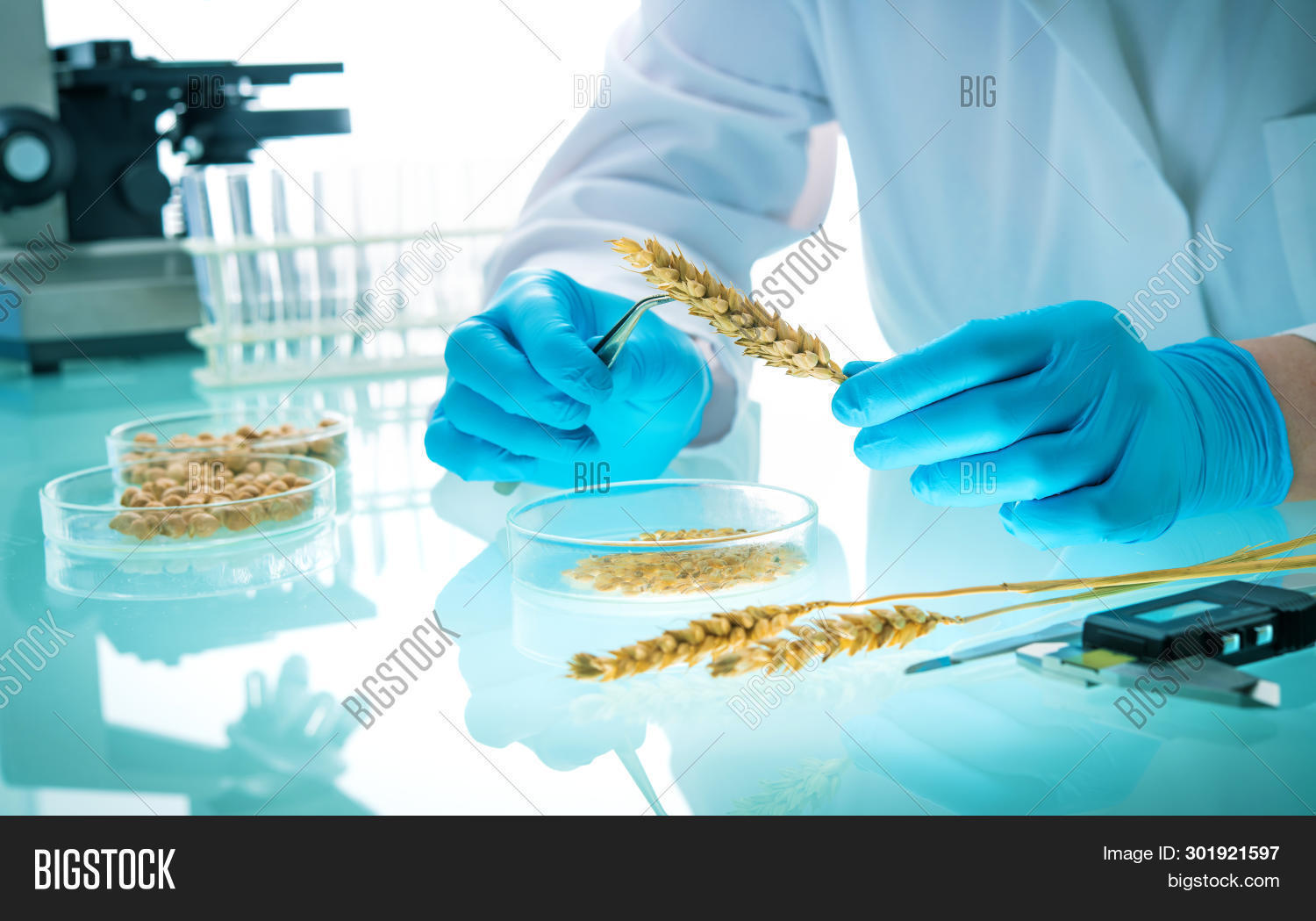 Researcher Analyzing Image & Photo (Free Trial) | Bigstock