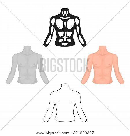 Chest Icon Cartoon, Vector & Photo (Free Trial) | Bigstock