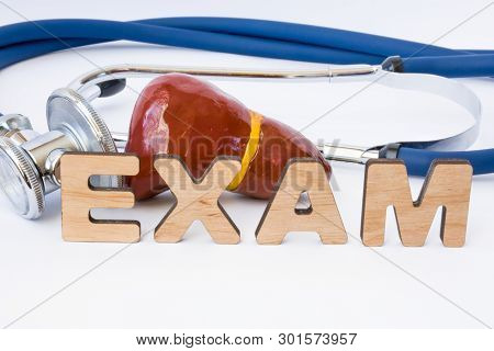 Liver Examination Exam Image & Photo (Free Trial) | Bigstock