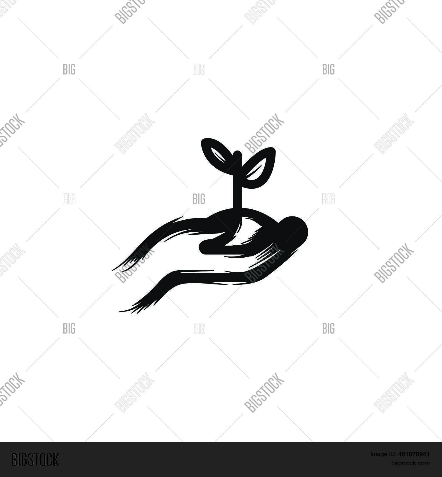 Hand Holding Seed Vector & Photo (Free Trial) | Bigstock