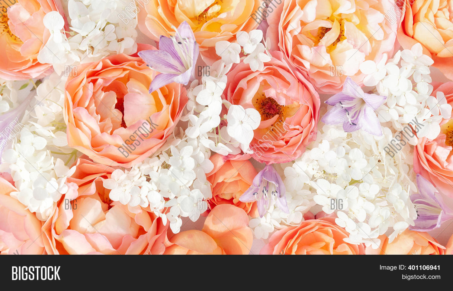Delicate Floral Image & Photo (Free Trial) | Bigstock