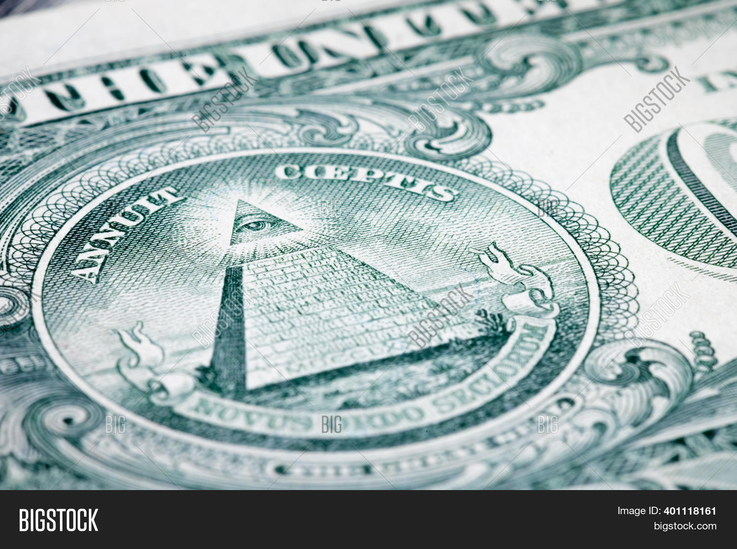 Macro Image One Dollar Image & Photo (Free Trial) | Bigstock