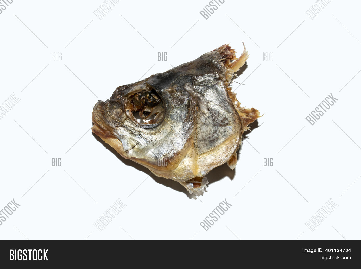 Fish Head On White Image & Photo (Free Trial) | Bigstock