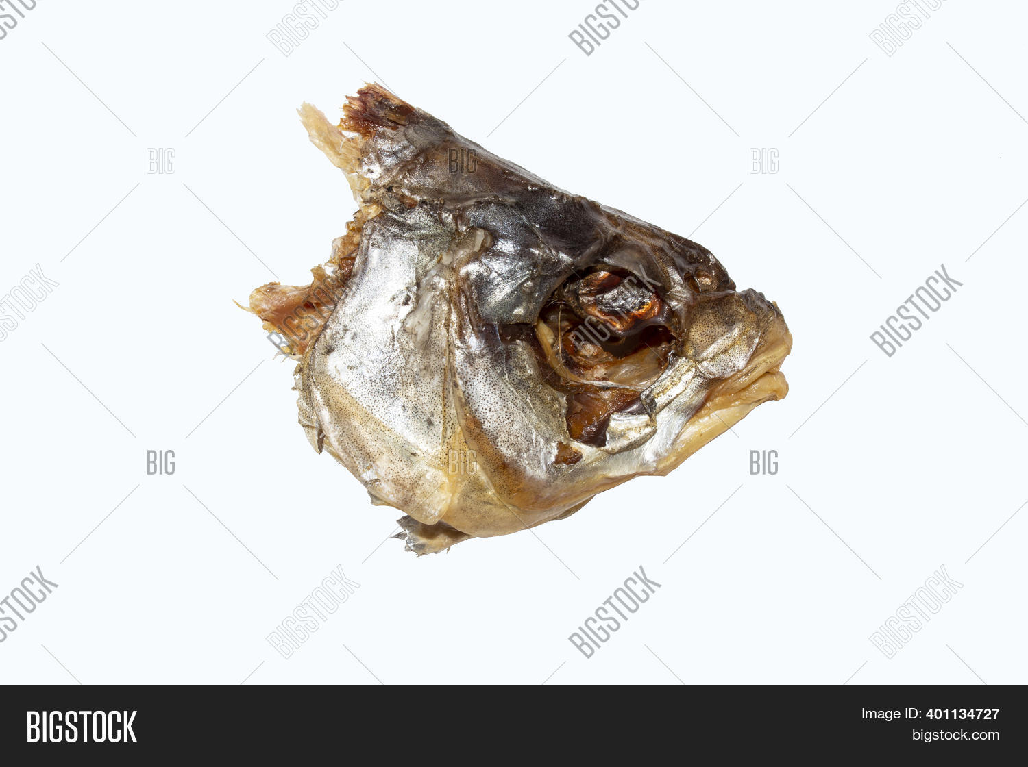 Fish Head On White Image & Photo (Free Trial) | Bigstock