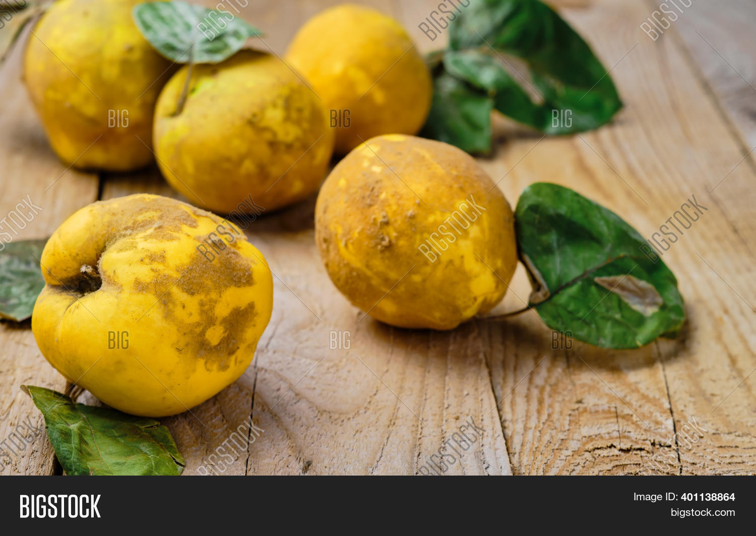 Fresh Ripe Quince Image & Photo (Free Trial) | Bigstock