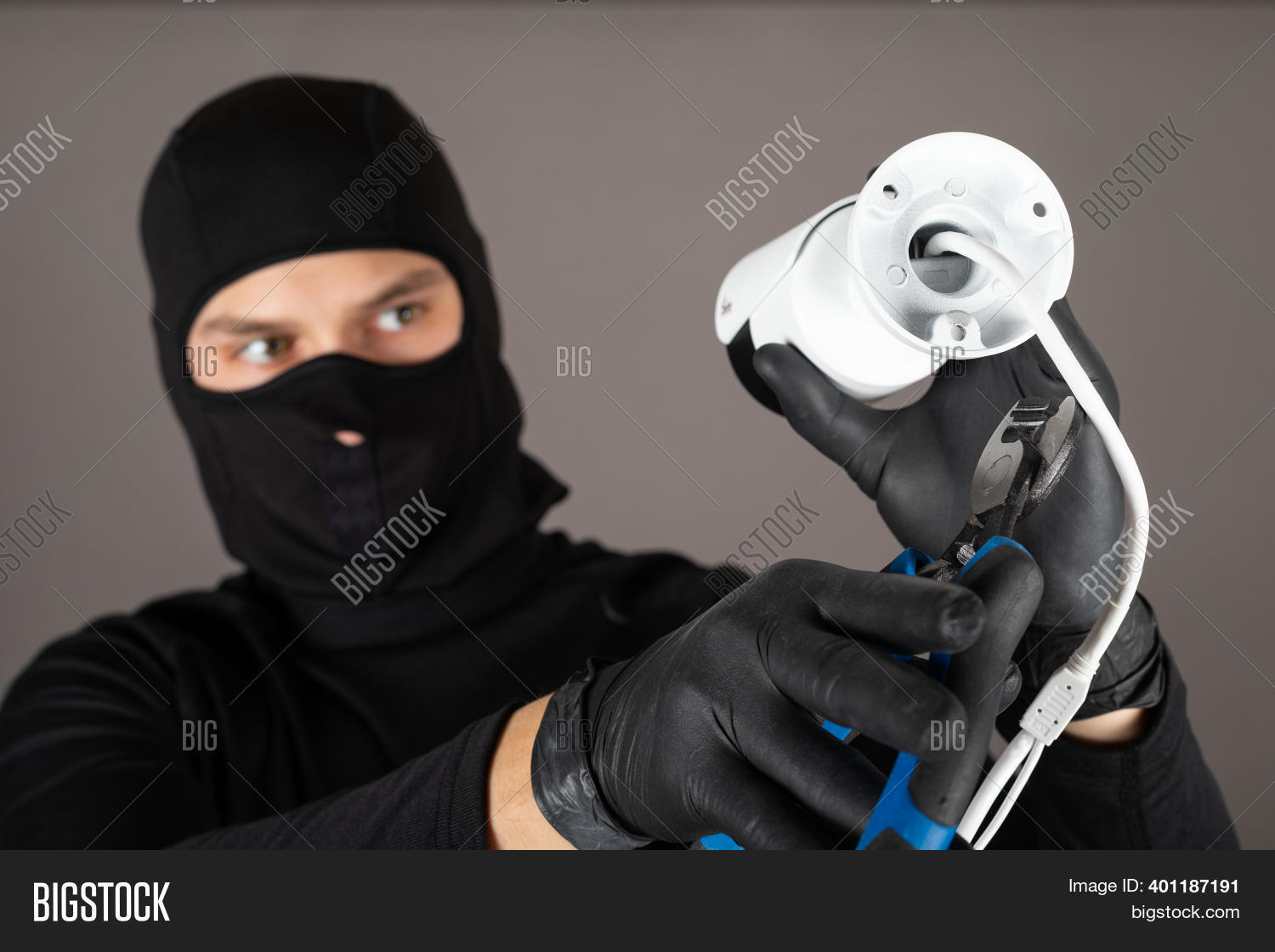 Picture Thief Wearing Image & Photo (Free Trial) | Bigstock