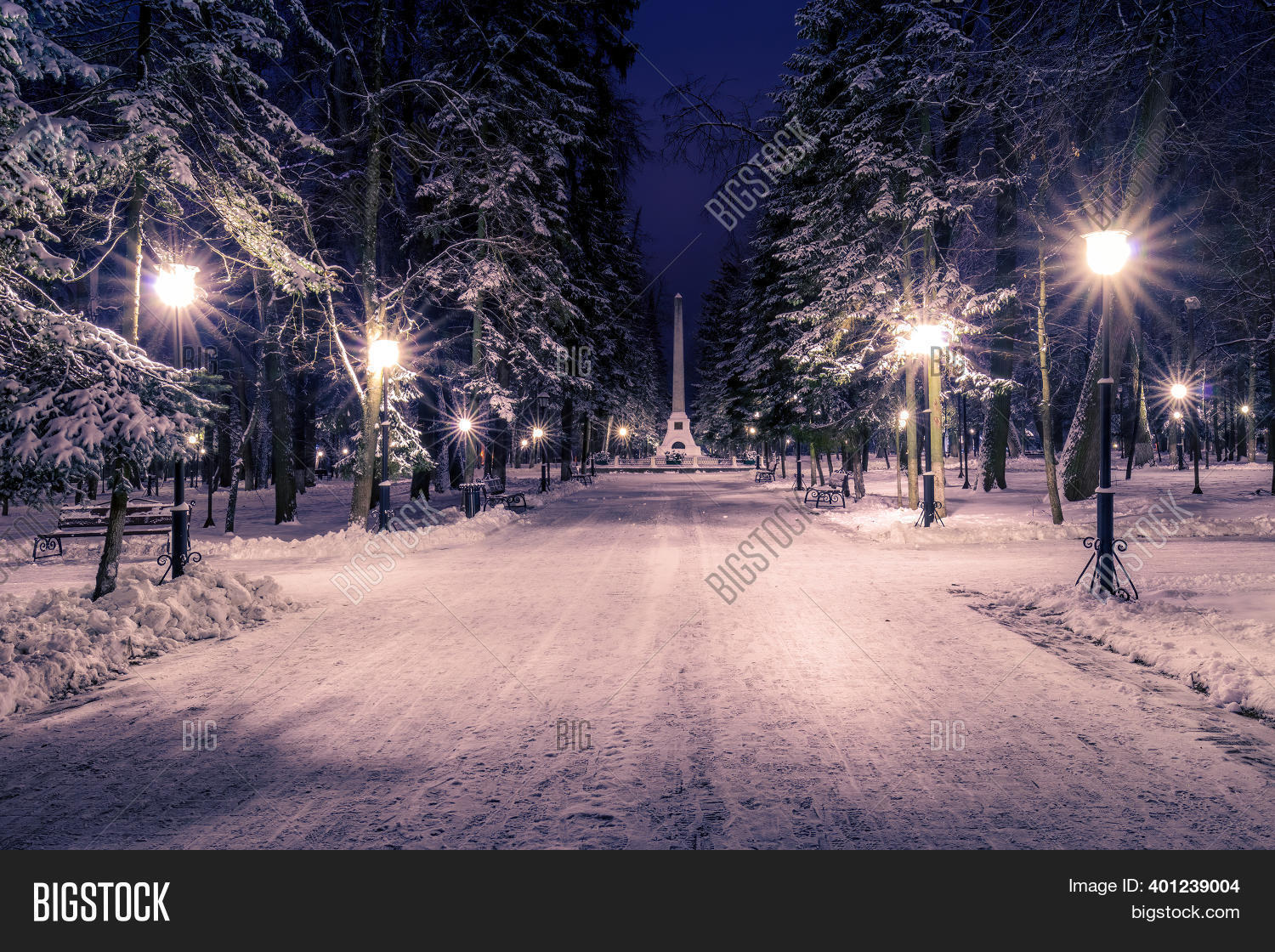 Winter Night Park Image & Photo (Free Trial) | Bigstock