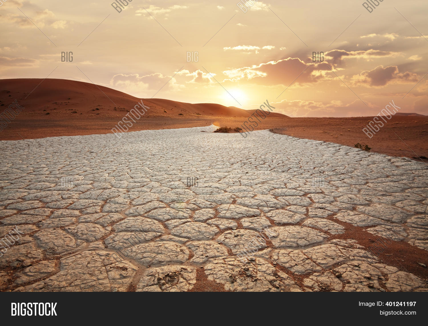 Drought Land Sand Image & Photo (Free Trial) | Bigstock