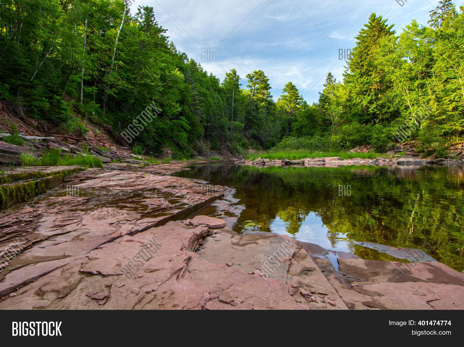 Forest River Landscape Image & Photo (Free Trial) | Bigstock