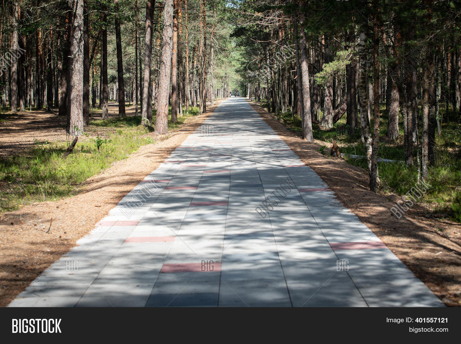 Nature Trail. Paved Image & Photo (Free Trial) | Bigstock