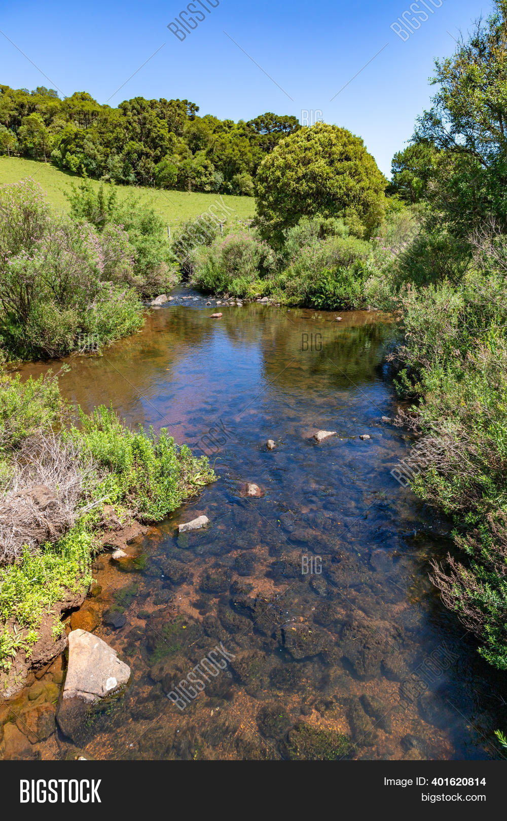 Farm Field Stream, Image & Photo (Free Trial) | Bigstock