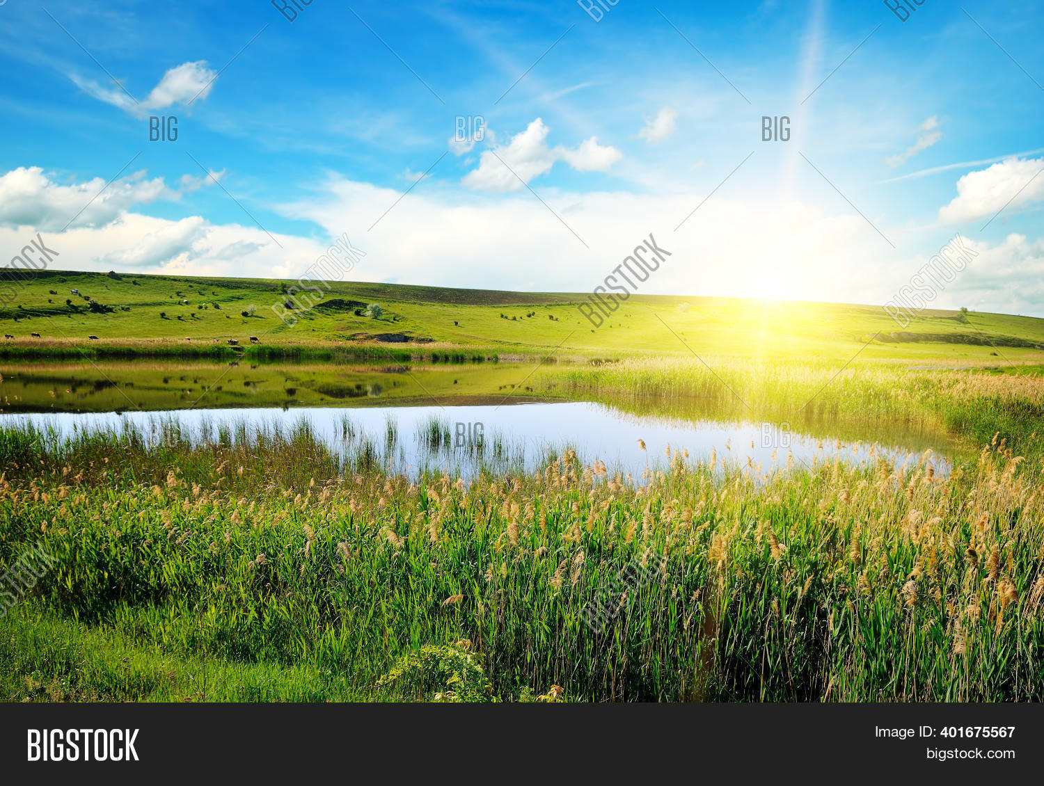 Scenic View Beautiful Image & Photo (Free Trial) | Bigstock