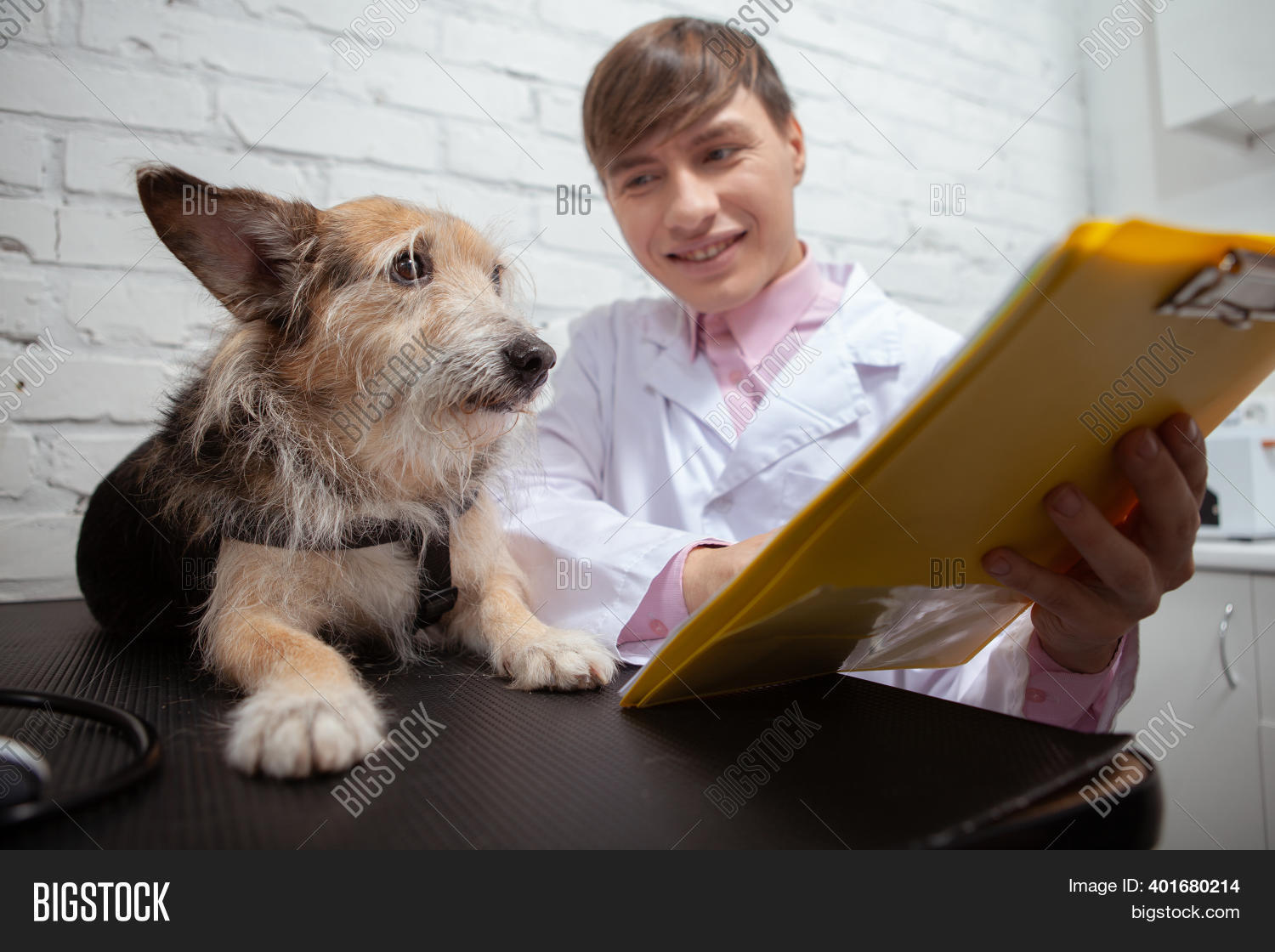 Cheerful Male Vet Image & Photo (Free Trial) | Bigstock
