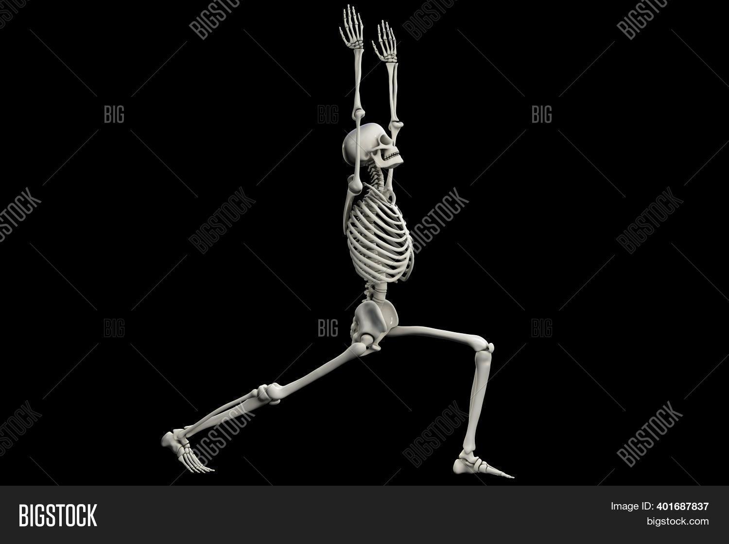 Anatomy Warrior 1 Pose Image & Photo (Free Trial) | Bigstock
