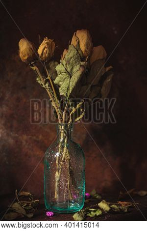 Still Life Dark Photo Image & Photo (Free Trial) | Bigstock
