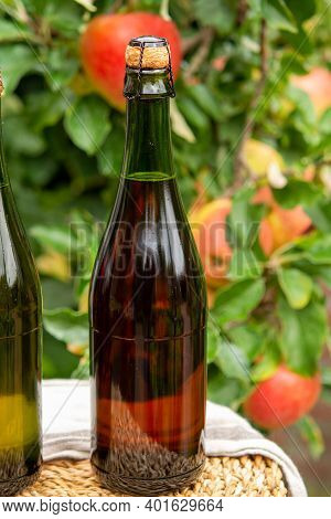 Brut Rose Apple Cider Image & Photo (Free Trial) | Bigstock