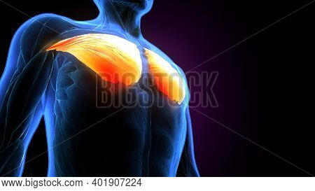 3d Illustration Image & Photo (Free Trial) | Bigstock